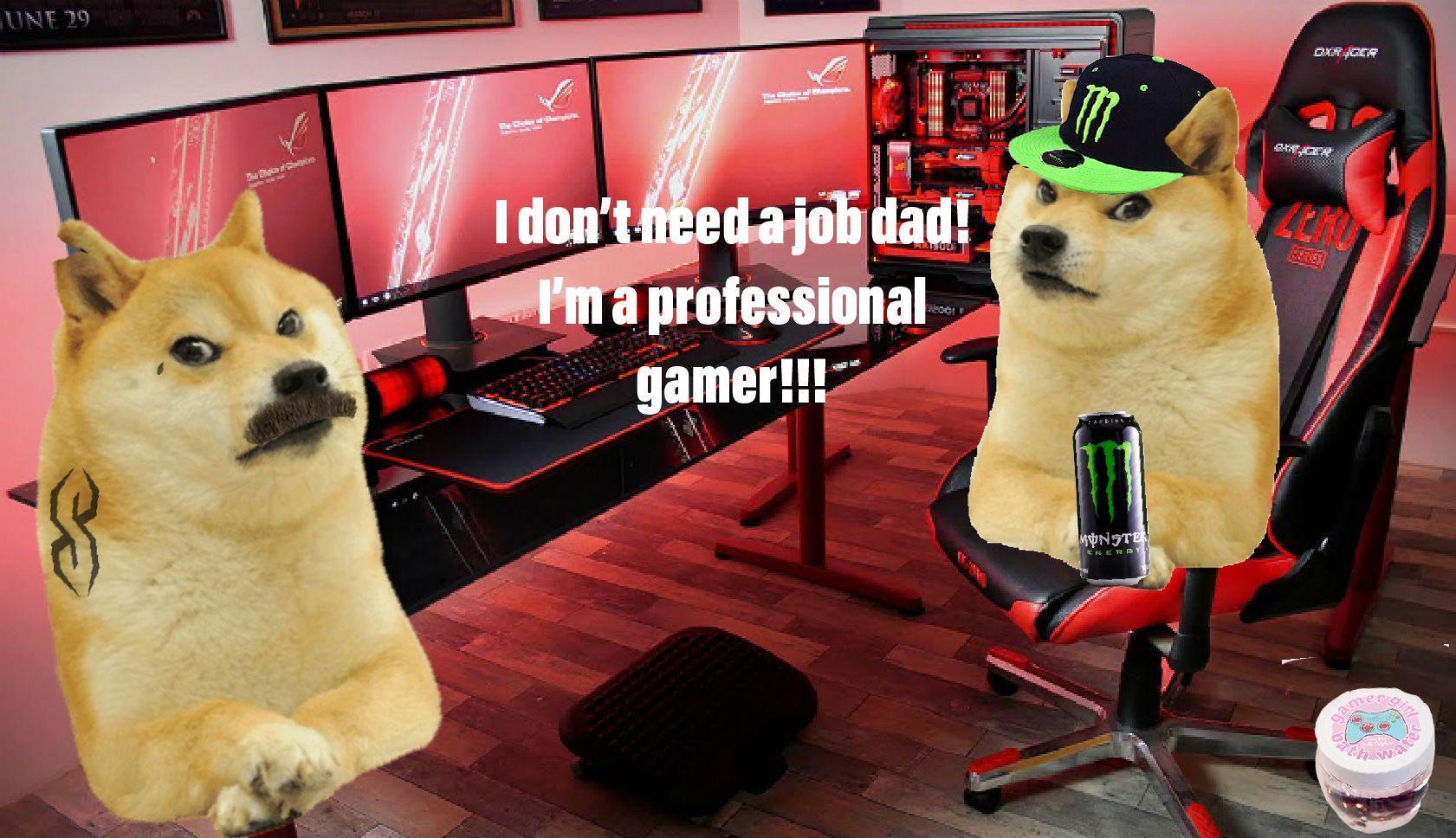 Le successful twitch gamer career has arrived | /r/dogelore | Ironic ...