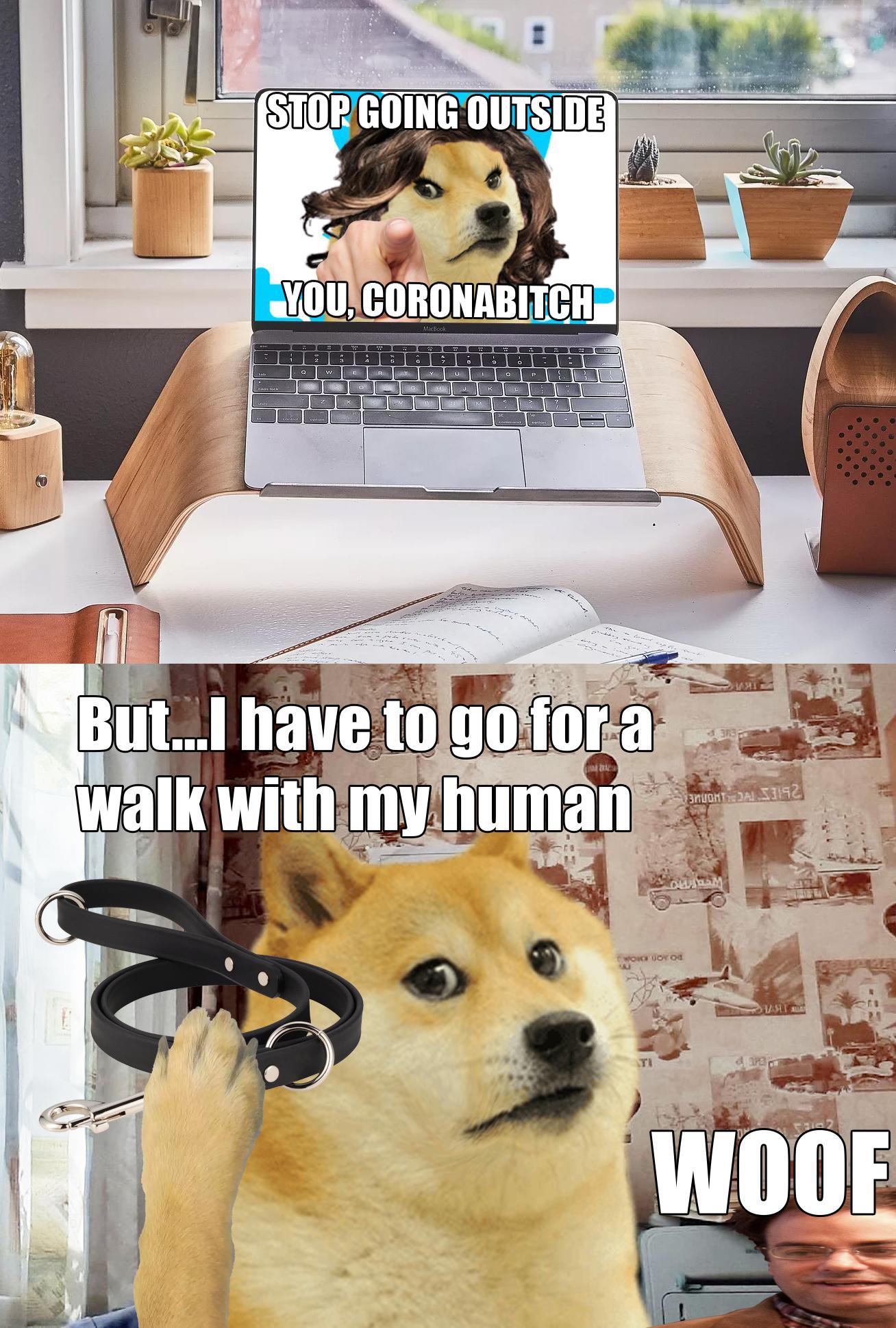 HUMANE | /r/dogelore | Ironic Doge Memes | Know Your Meme