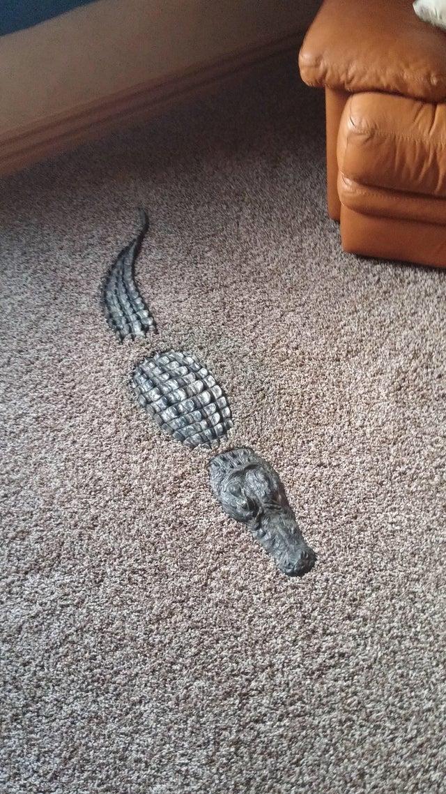 /r/DidntKnowIWantedThat gator carpet | Know Your Meme