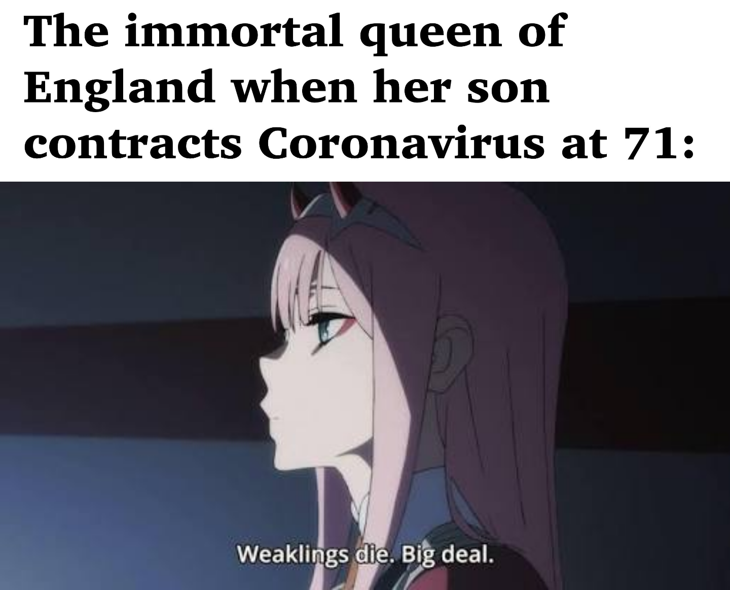 Big woop | /r/memes | Queen Elizabeth Is Immortal | Know Your Meme