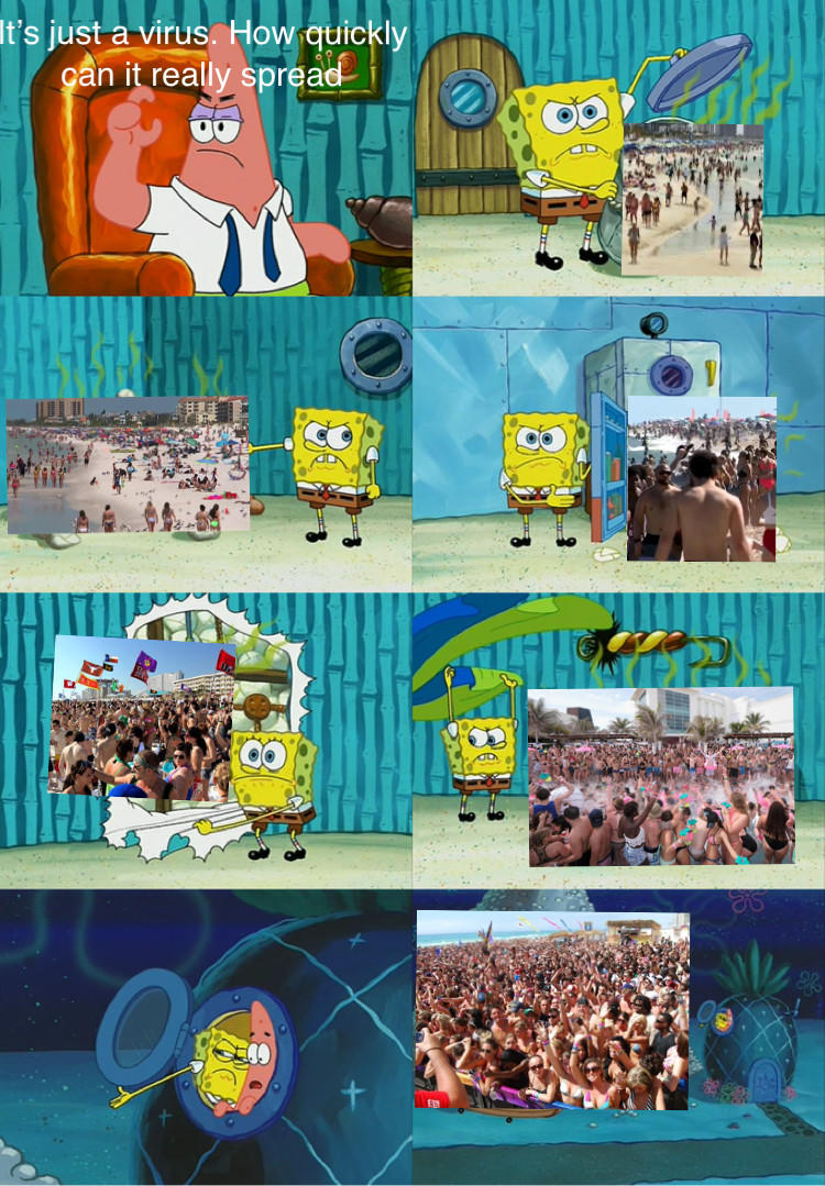 Leedle leedle leedle lee | /r/BikiniBottomTwitter | SpongeBob ...