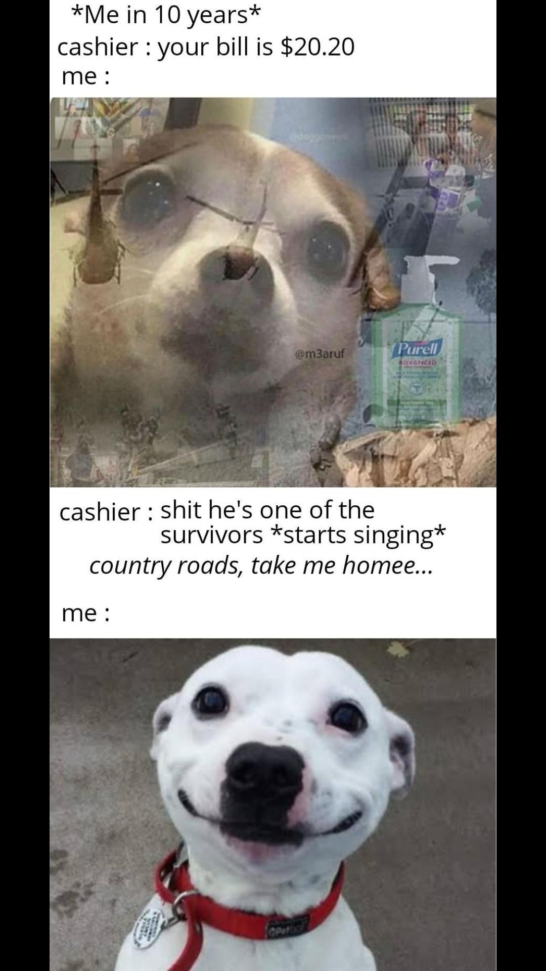 This is just cringe | /r/ComedyCemetery | PTSD Chihuahua | Know Your Meme