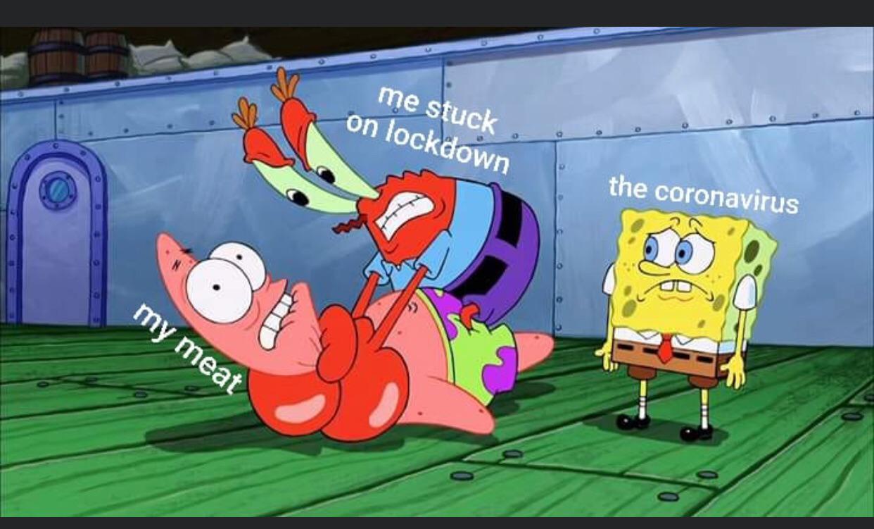 Nothing else to do | /r/BikiniBottomTwitter | SpongeBob SquarePants ...