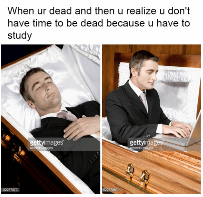 You have to study | Deceased Man in Coffin Typing on a Laptop | Know ...