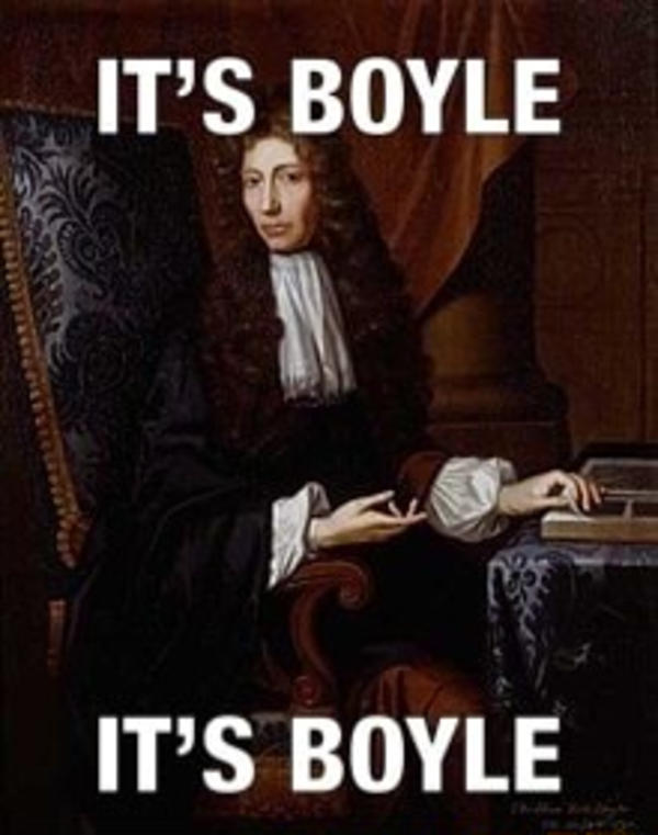 It's Boyle | Water, Ice, Salt, Aye | Know Your Meme