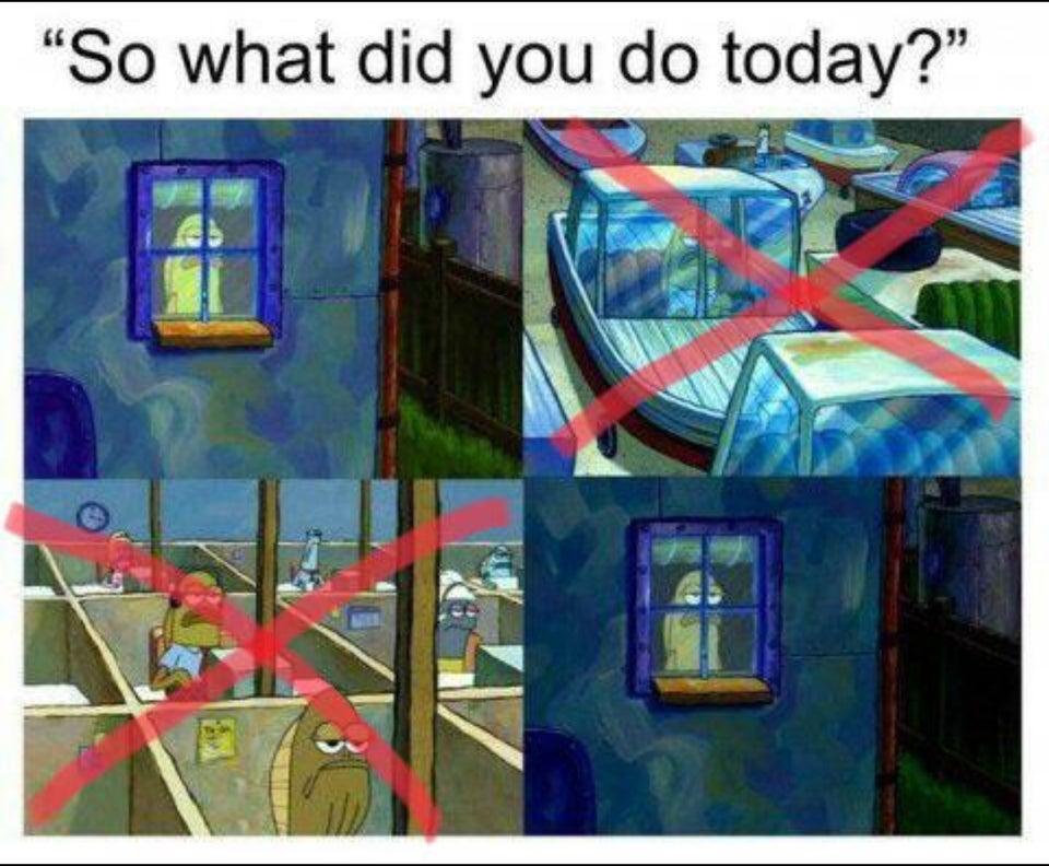 daily routine | Quarantined Memes | Know Your Meme