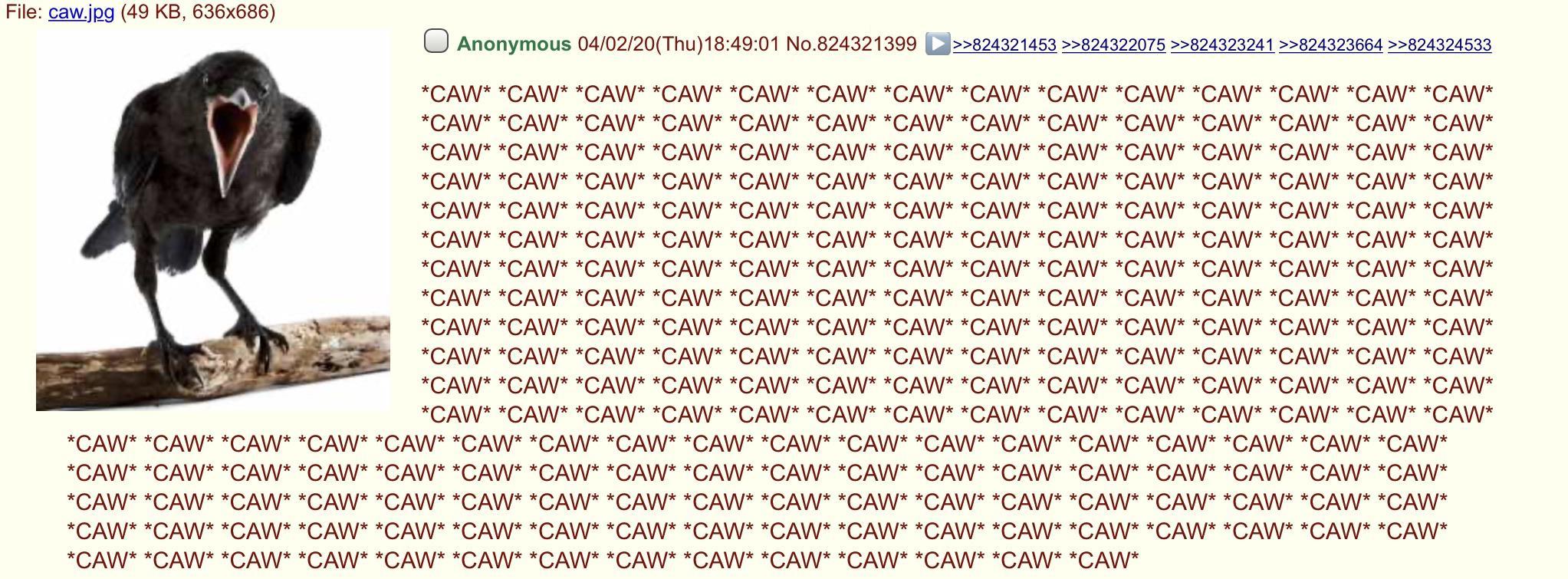 Anon is a crow | /r/4chan | 4chan | Know Your Meme
