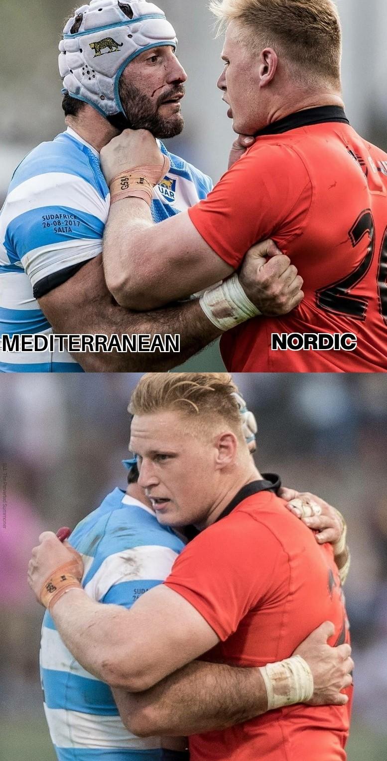 A Nordic and a Mediterranean hug it out | Nordic / Mediterranean | Know ...