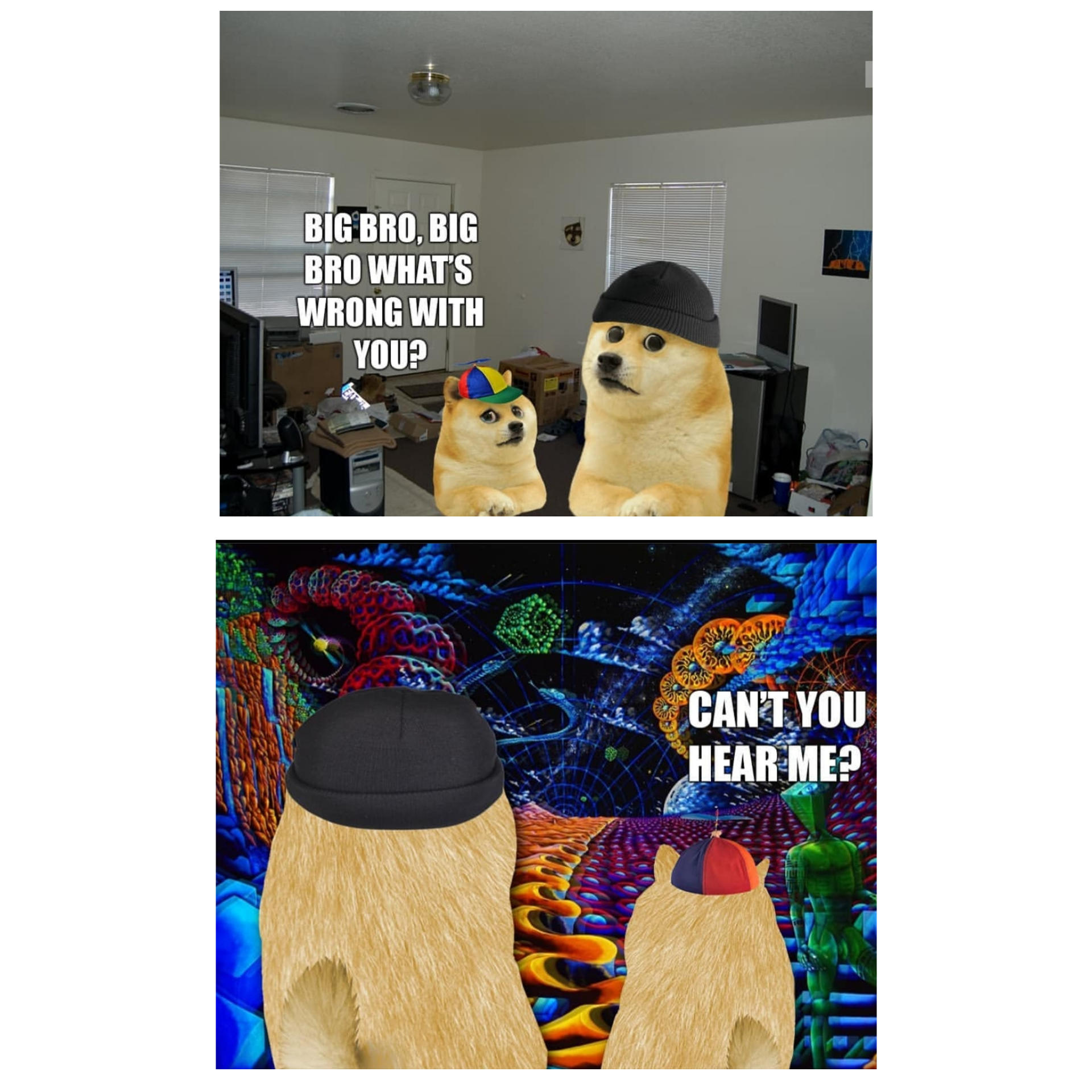 Doge goes to his happy place | /r/Doomers | Doomer | Know Your Meme