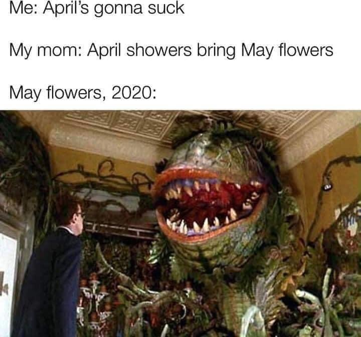 may flowers | 2020 Can't Get Any Worse | Know Your Meme