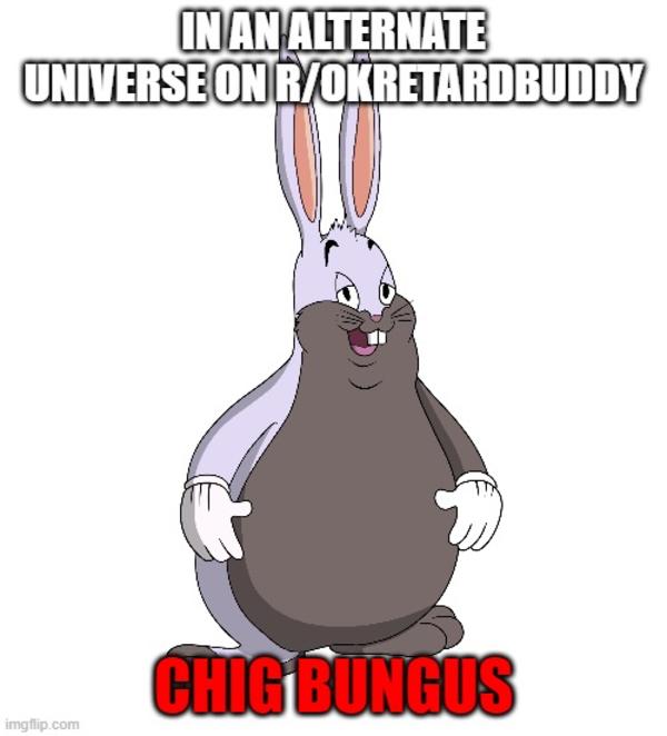 chig bungus | /r/okbuddyretard | OkBuddyRetard | Know Your Meme