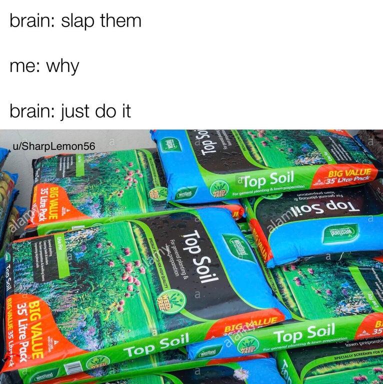 slap them | Slapping Bags of Soil | Know Your Meme