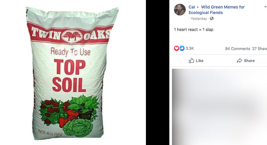 1 heart react = 1 slap | Slapping Bags of Soil | Know Your Meme