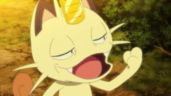 Meowth face | Pokémon | Know Your Meme