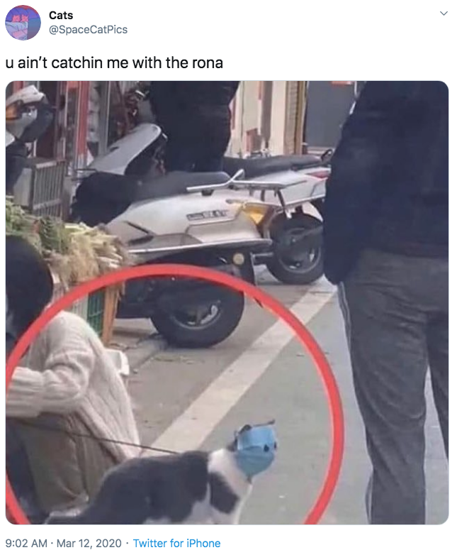 u ain’t catchin me with the rona | The Rona | Know Your Meme