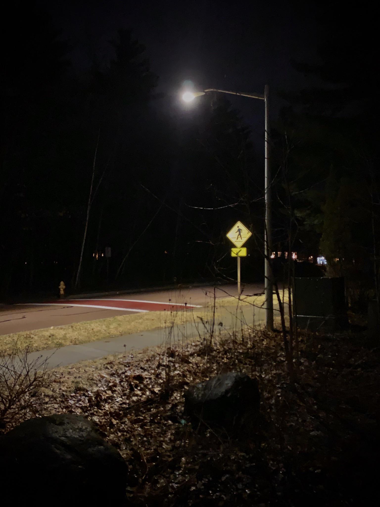 From a walk in the woods, it was nice | /r/Doomers | Doomer | Know Your ...