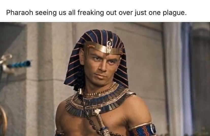 pharaoh is not impressed | COVID-19 Pandemic | Know Your Meme