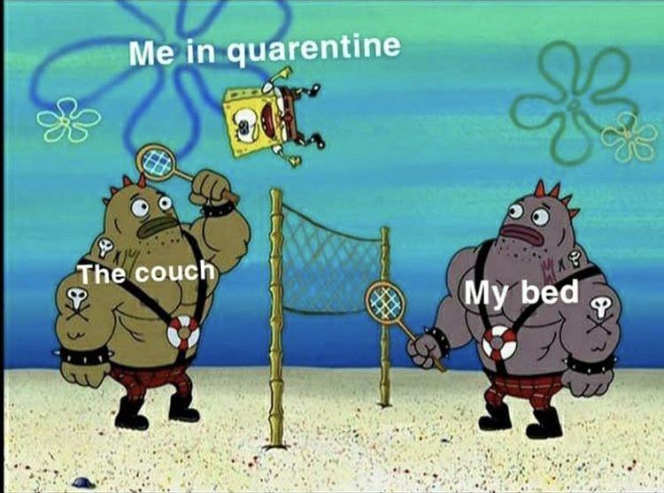 Quarantine day ??? | /r/BikiniBottomTwitter | SpongeBob SquarePants ...