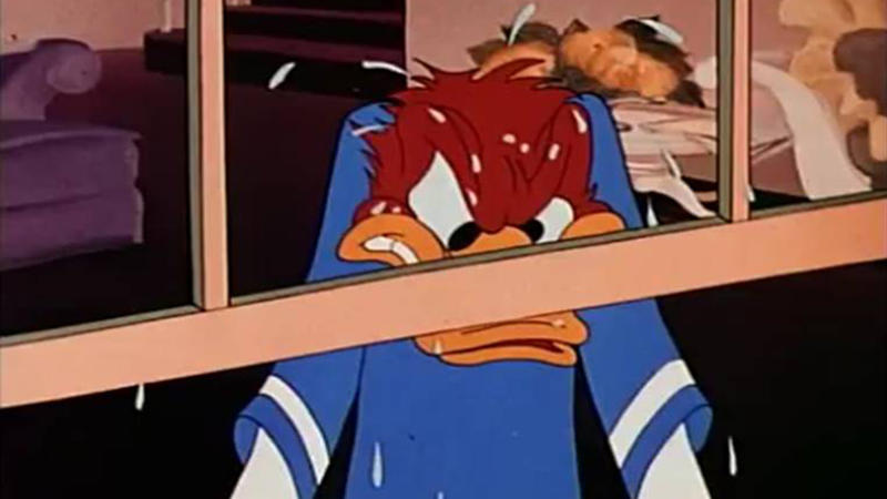Angry Donald Duck "Cured Duck" | Angry Donald Duck | Know Your Meme