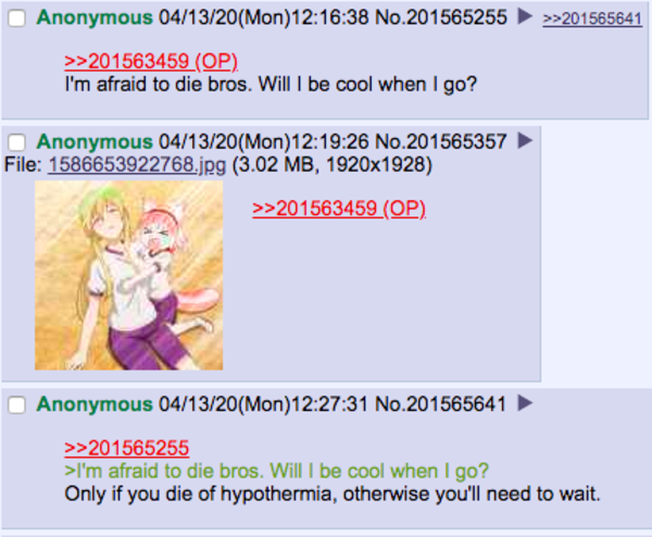 chill in 24 hours | /r/4chan | 4chan | Know Your Meme