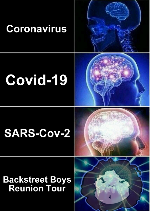 Expanding Brain | Backstreet Boys Reunion Tour | Know Your Meme
