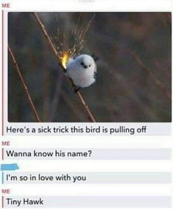 tiny hawk | Tony Hawk | Know Your Meme