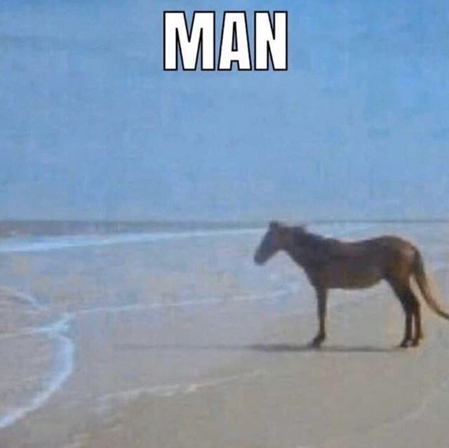 Bojack? | /r/BoJackHorseman | BoJack Horseman | Know Your Meme