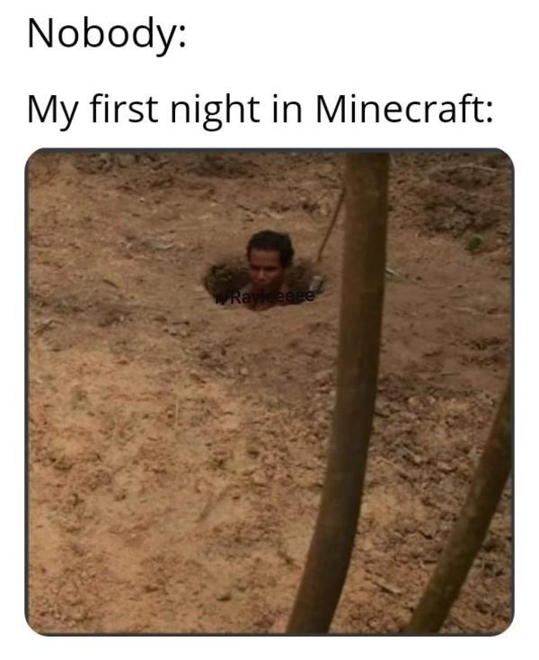 I be swinging from sidee to side | /r/MinecraftMemes | Minecraft | Know ...