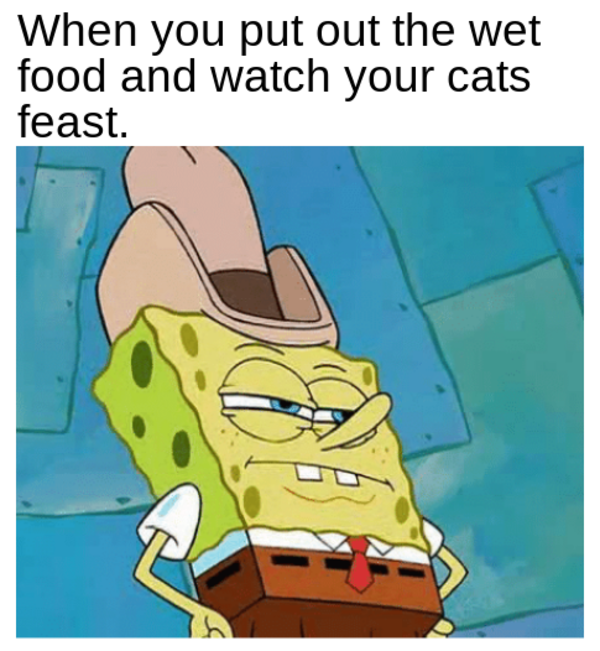 It ain't much, but it's honest work. | /r/BikiniBottomTwitter ...