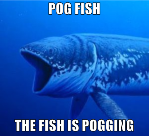 guys the fish is pogging | /r/okbuddyretard | POGGERS | Know Your Meme