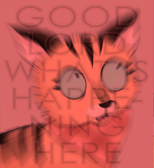 GOOD LORD WHAT IS HAPPE-NING HERE | Reaction Images | Know Your Meme