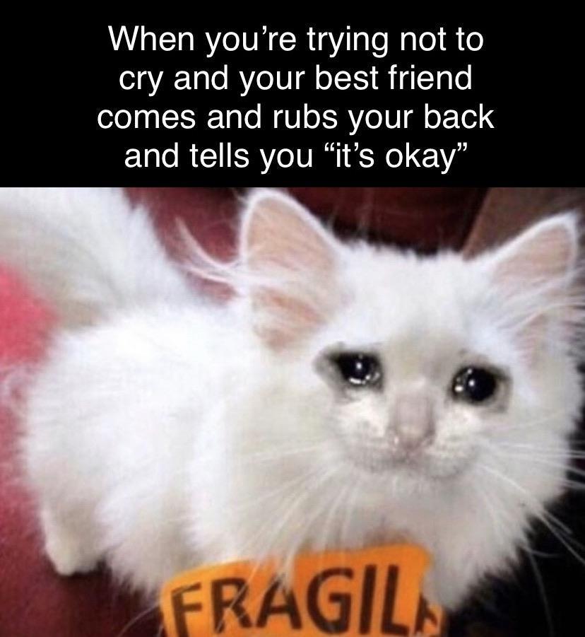 Fragile boi | /r/wholesomememes | Wholesome Memes | Know Your Meme