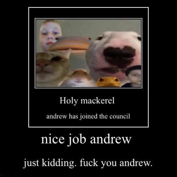 andrew joins the council | Staring Animals | Know Your Meme