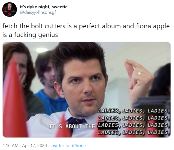 Perfect Album | Fetch the Bolt Cutters | Know Your Meme