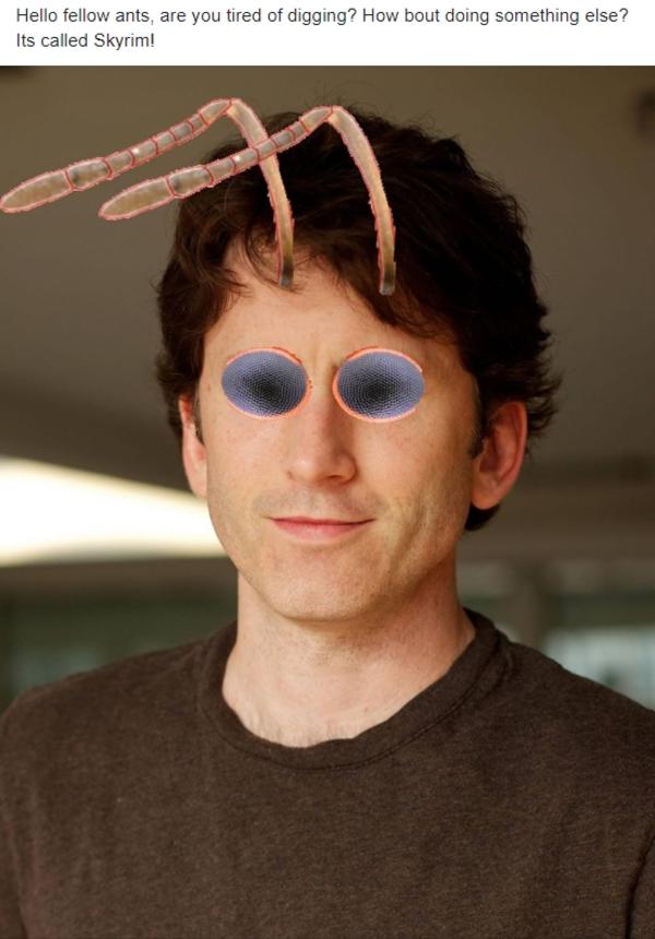 Todd HowANT | A Group Where We All Pretend to Be Ants in an Ant Colony ...