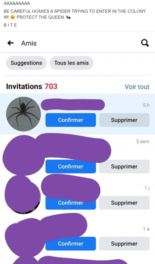 A SPIDER TRYING TO ENTER THE COLONY | A Group Where We All Pretend to ...