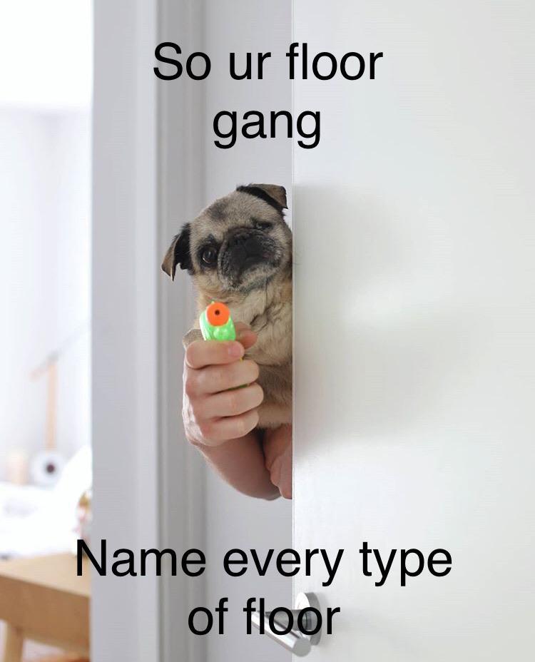 RISE UP FLOOR GANG | Floor Gang vs. Ceiling Gang | Know Your Meme