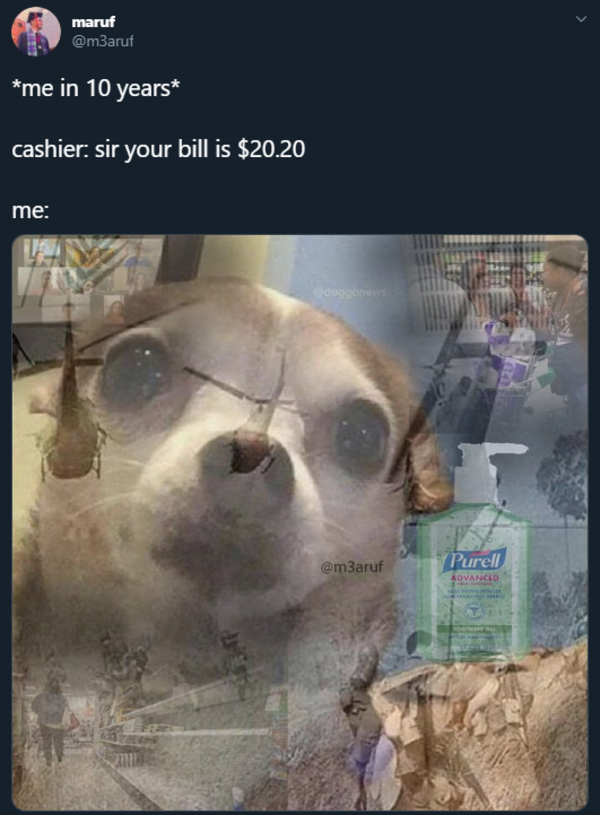 PTSD Chihuahua 2020 Twitter | PTSD Chihuahua | Know Your Meme