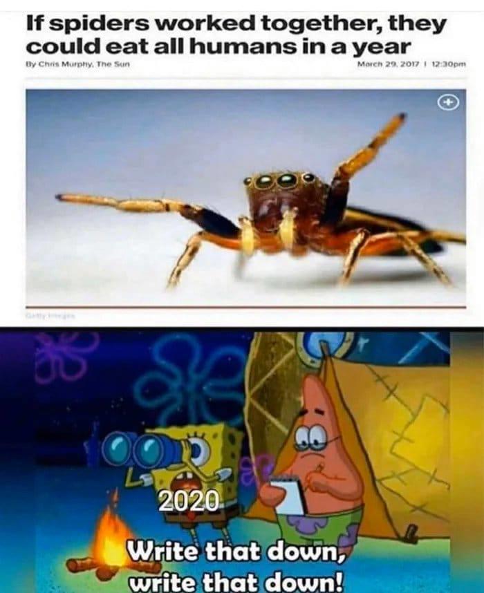 I think I know what we'll do next | 2020 Predictions | Know Your Meme