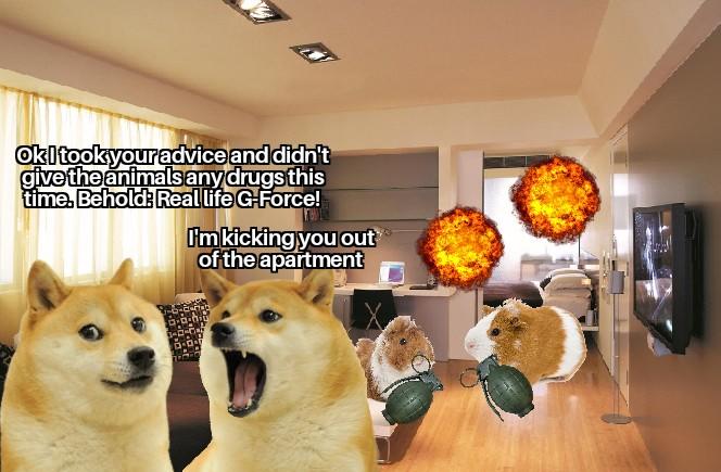 Le wacky recurring theme has arrived | /r/dogelore | Ironic Doge Memes ...