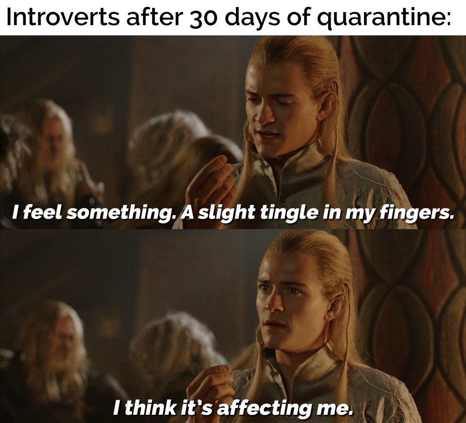 a slight tingle | Lord Of The Rings | Know Your Meme
