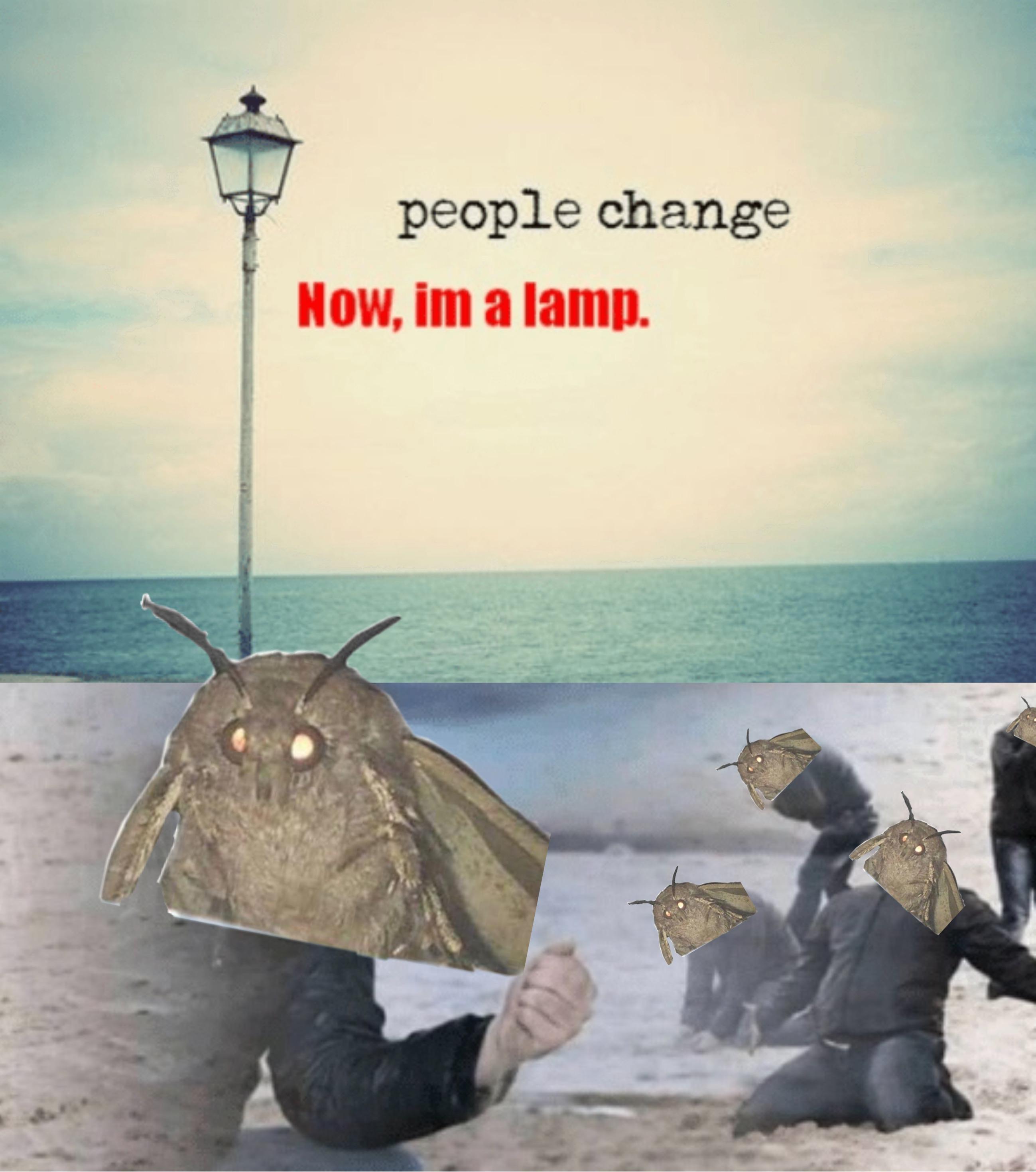 Moth teächers | Moth Lamp | Know Your Meme
