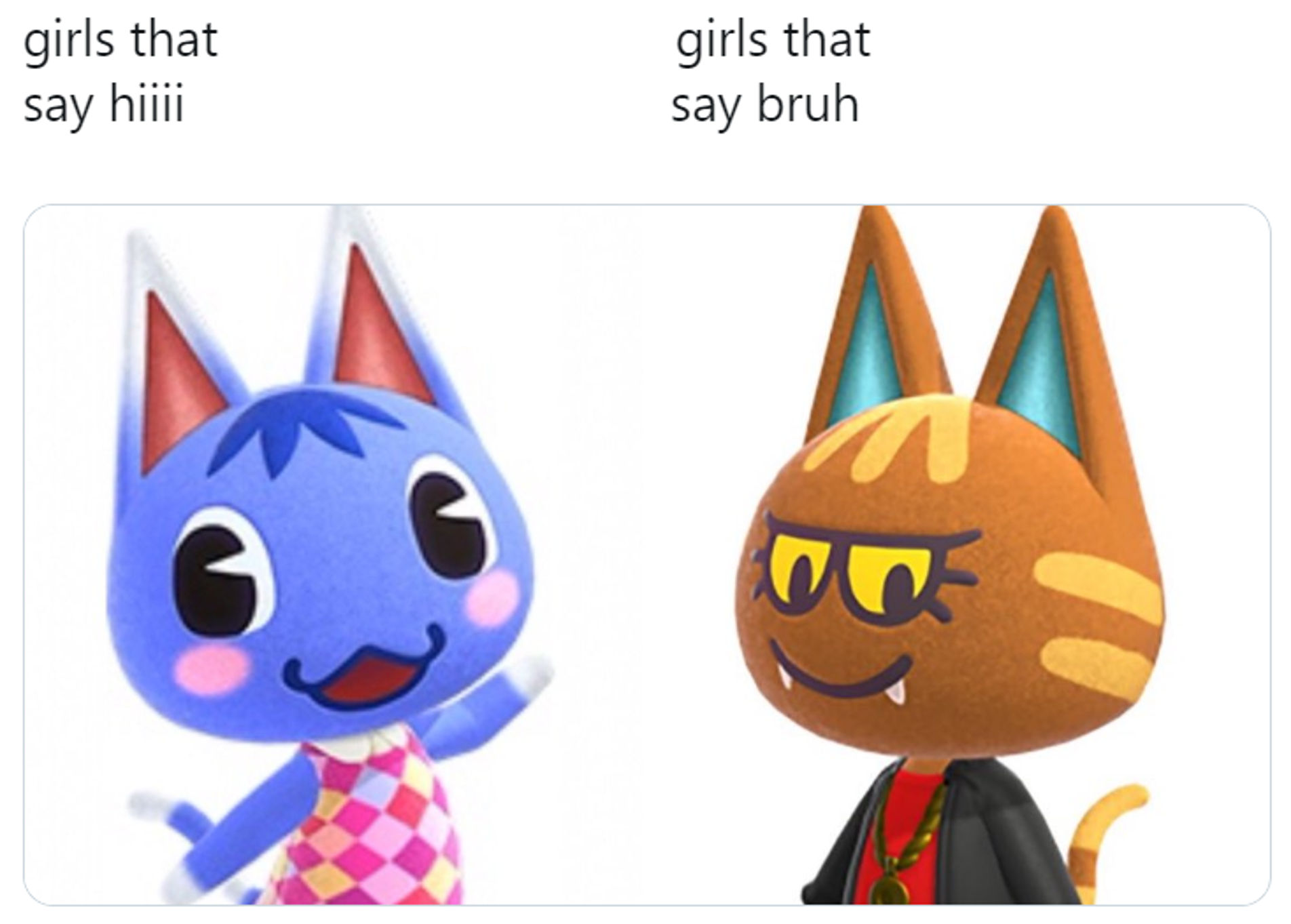 Cat Animal Crossing Know Your Meme Cat Animal Crossing Know Your Meme