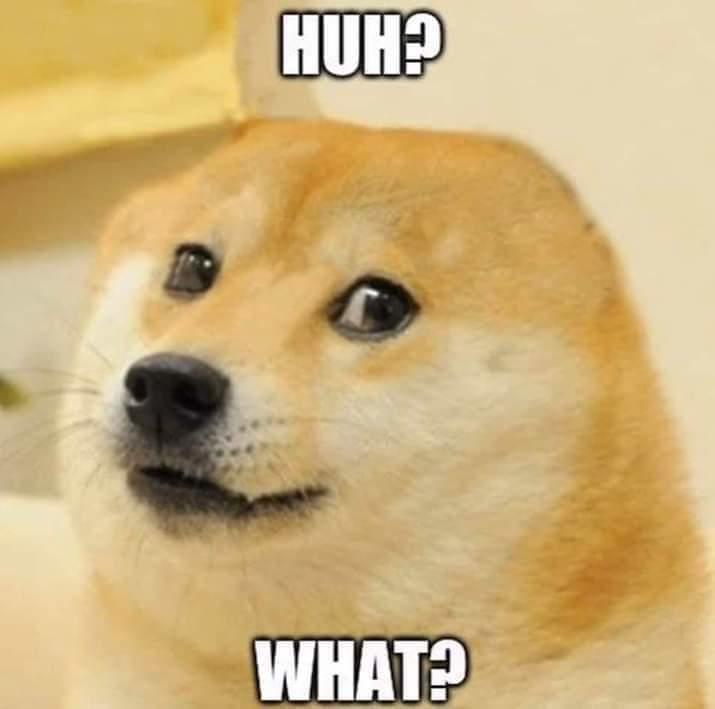 deaf dog | Ironic Doge Memes | Know Your Meme