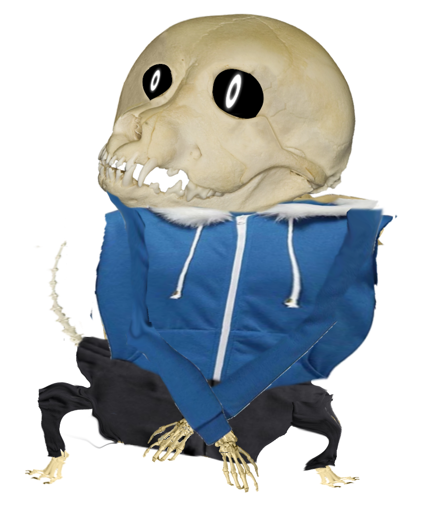 Le sans doge has arrived | /r/dogelore | Ironic Doge Memes | Know Your Meme