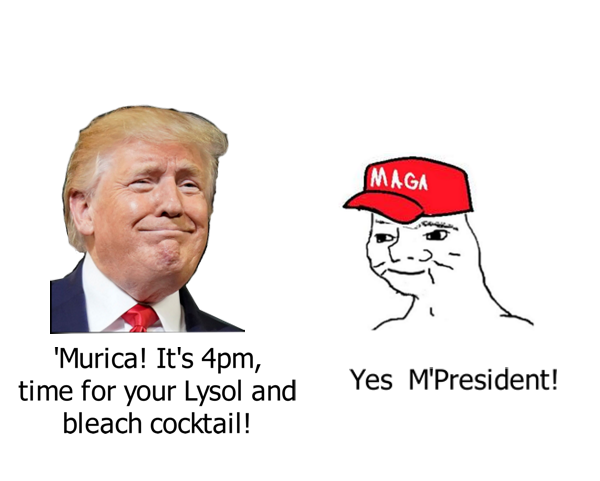 Yes M'President | Trump's "Inject Disinfectant" Remarks | Know Your Meme