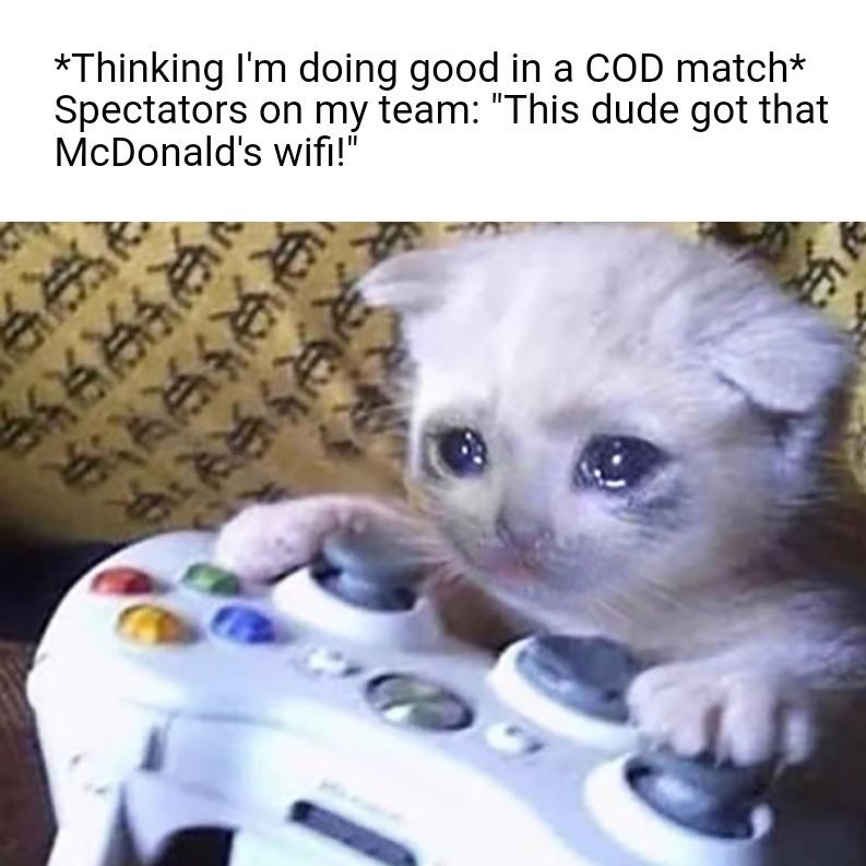 The Joys of Having Xfinity! | Sad Gaming Cat / Cat On Xbox | Know Your Meme