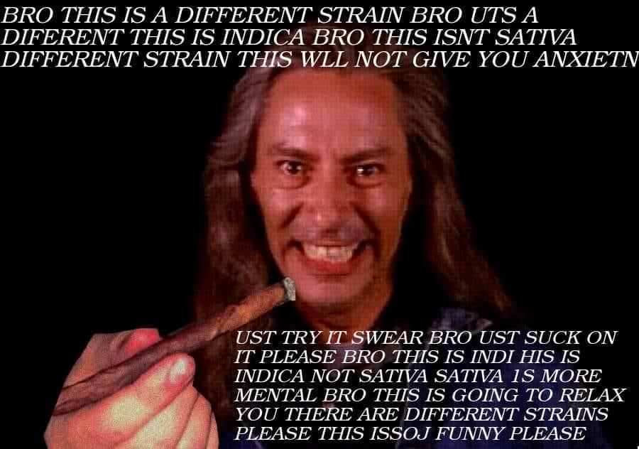 bro this is a different strain | Bro Please Bro, Just Try It | Know ...