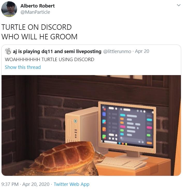 Turtle on Discord, Who Will He Groom | Discord Child Grooming | Know ...