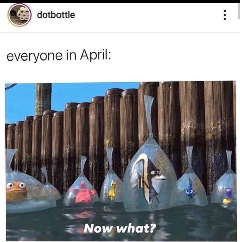 april 2020 | Finding Nemo | Know Your Meme
